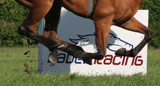 Hoofworld - Dein Stream