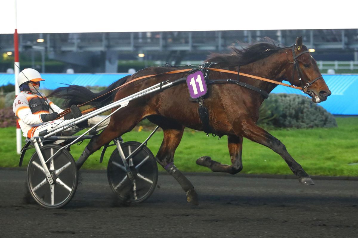 Hoofworld - Neuigkeiten